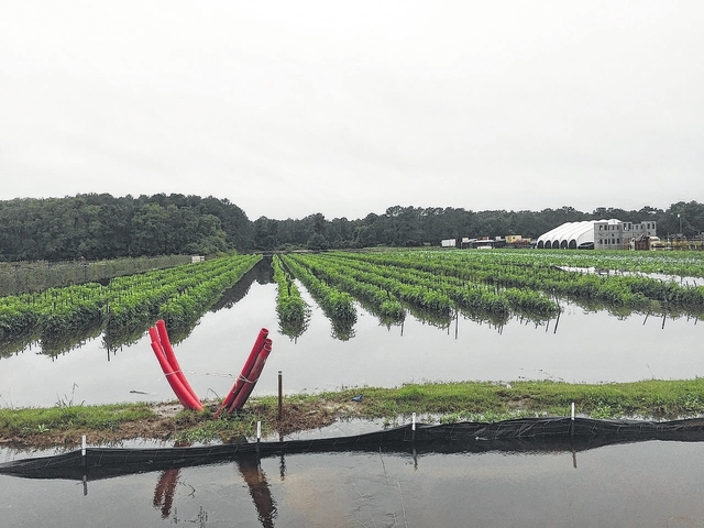 Clemson documents impact of drought, historic flood on farmers ...