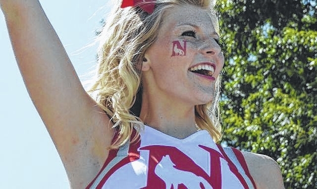 Wolves cheer team takes first place at Cheer Ltd. | Newberry Observer