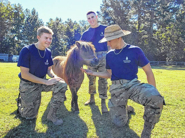 Cadets volunteer at LEARN Horse Rescue | Newberry Observer