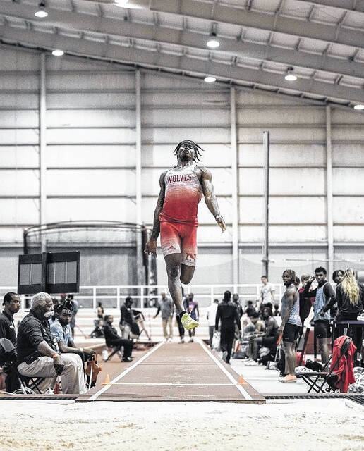 Wolves shine in final tune-up before SAC Indoor Championships ...